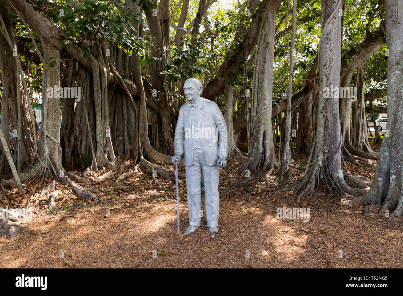 statue of Thomas Edison, American inventor, Edison-Ford Museum Stock ...