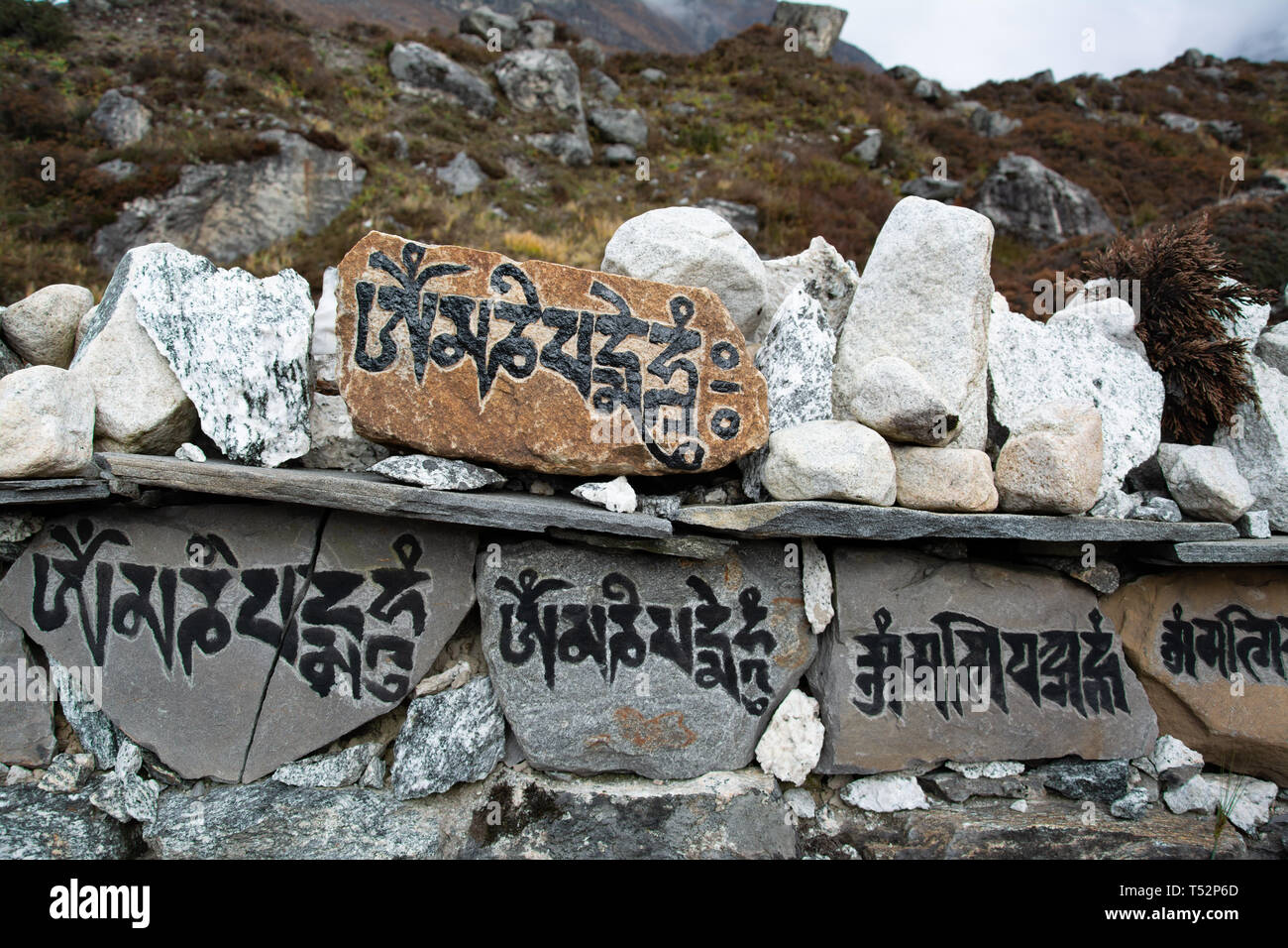Buddhist prayers written on the rocks in the Langtang valley in Nepal ...