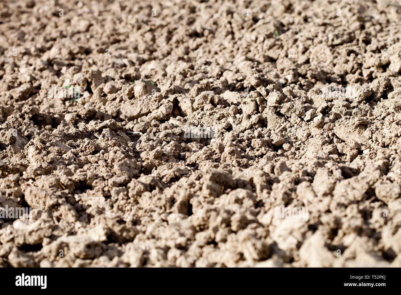 Soil texture background ready for cultivation Stock Photo - Alamy