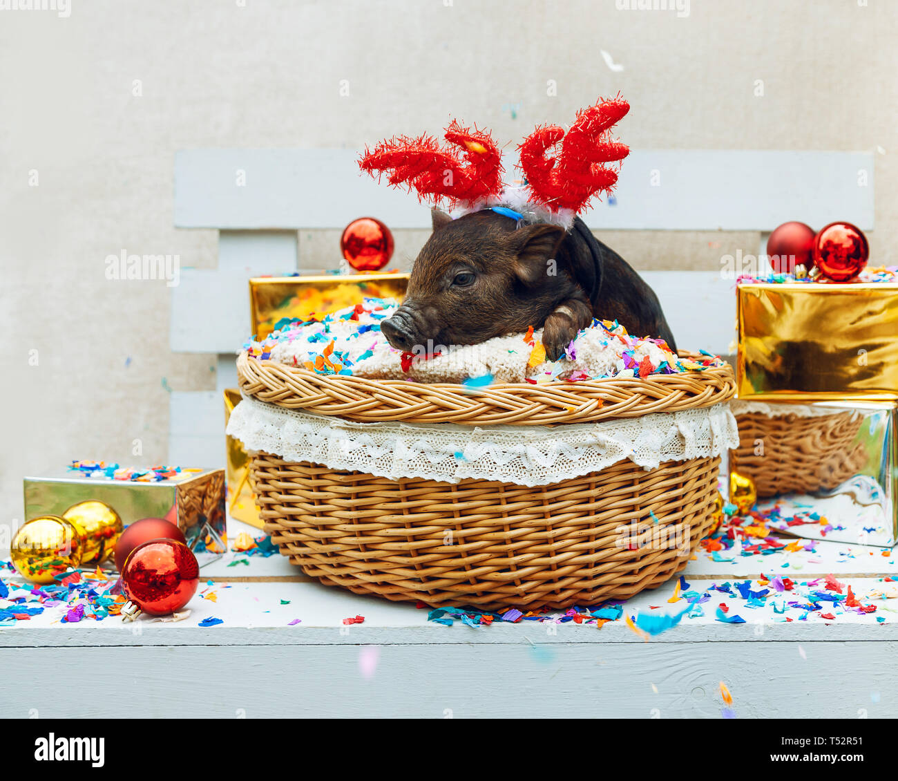 Wicker Pig High Resolution Stock Photography and Images - Alamy