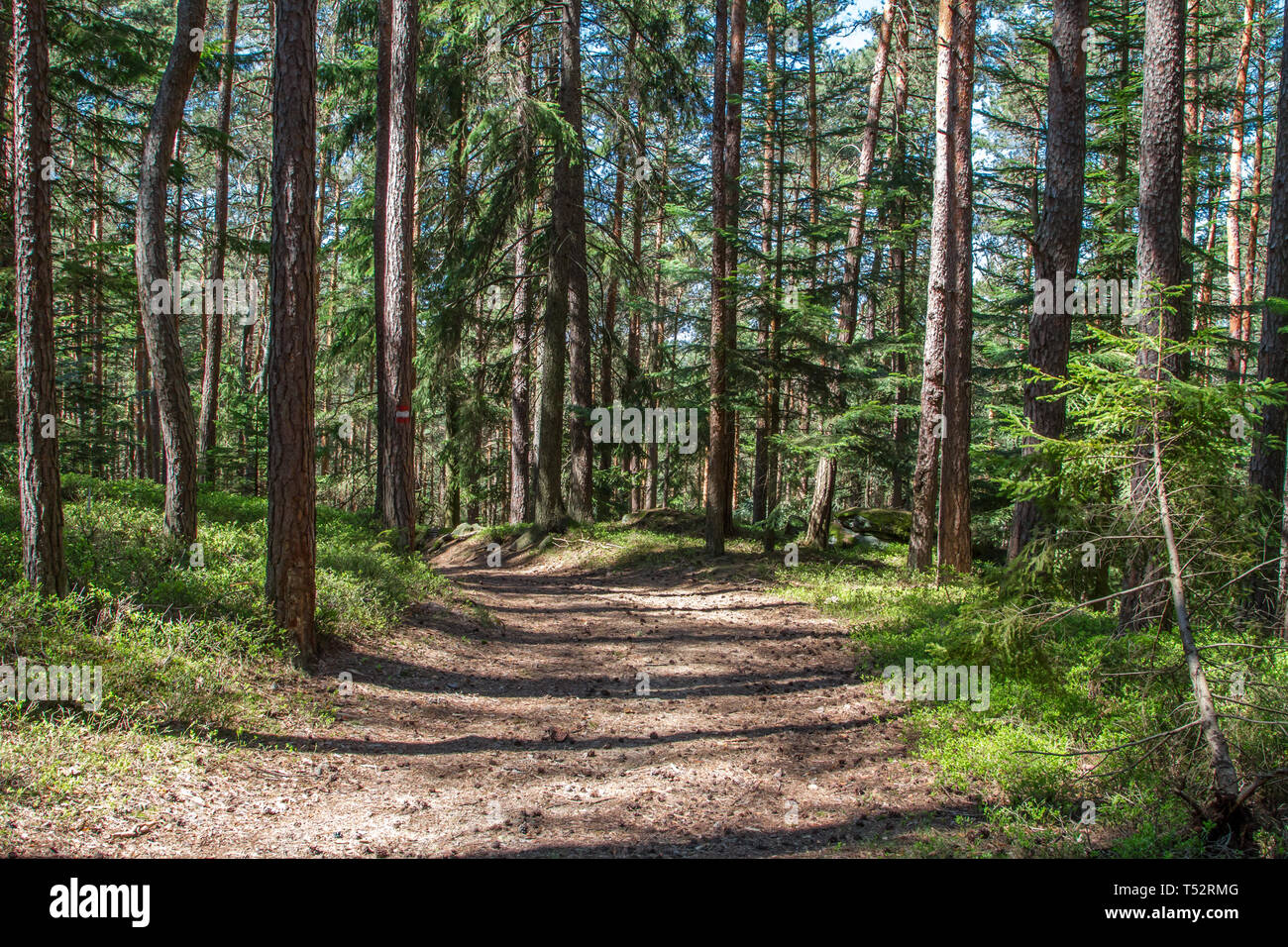Wanderweg hi-res stock photography and images - Alamy