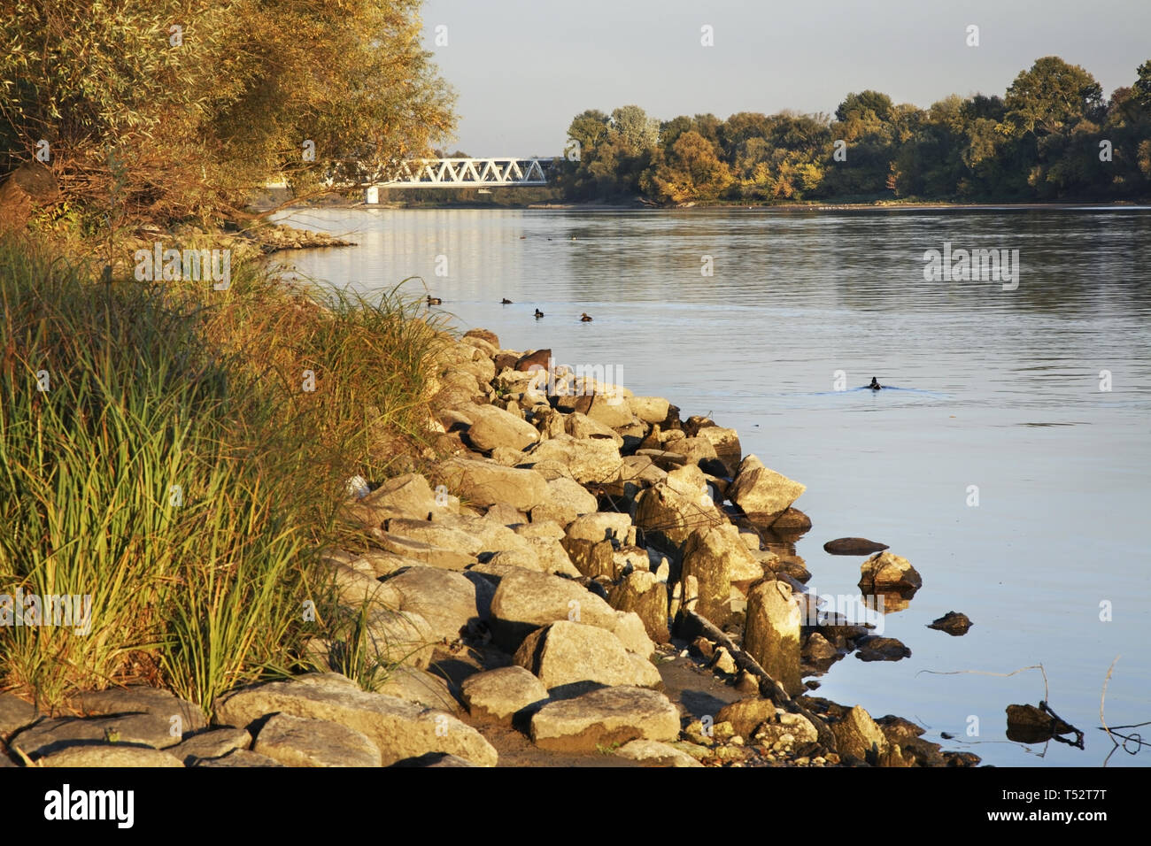Narew river in Modlin. Nowy Dwor Mazowiecki. Poland Stock Photo - Alamy