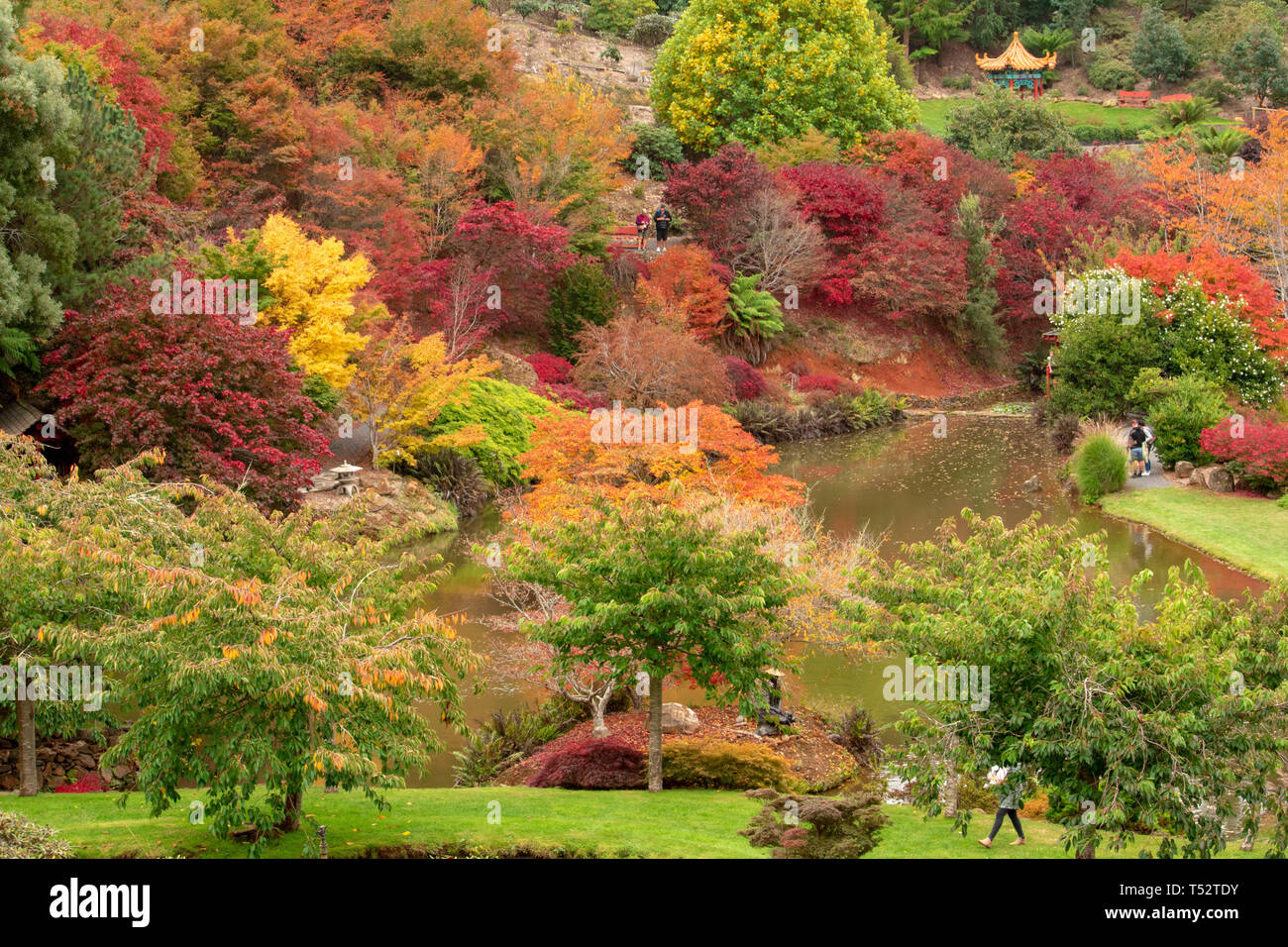 Beautiful Autumn Garden in Tasmania Stock Photo - Alamy