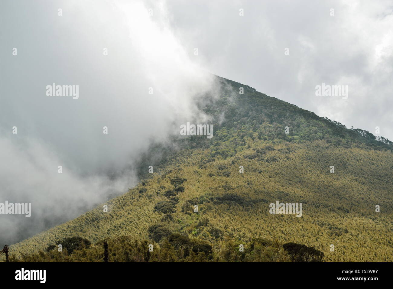 The volcanic mountain landscapes on the flanks of Mount Kenya, Aberdare ...