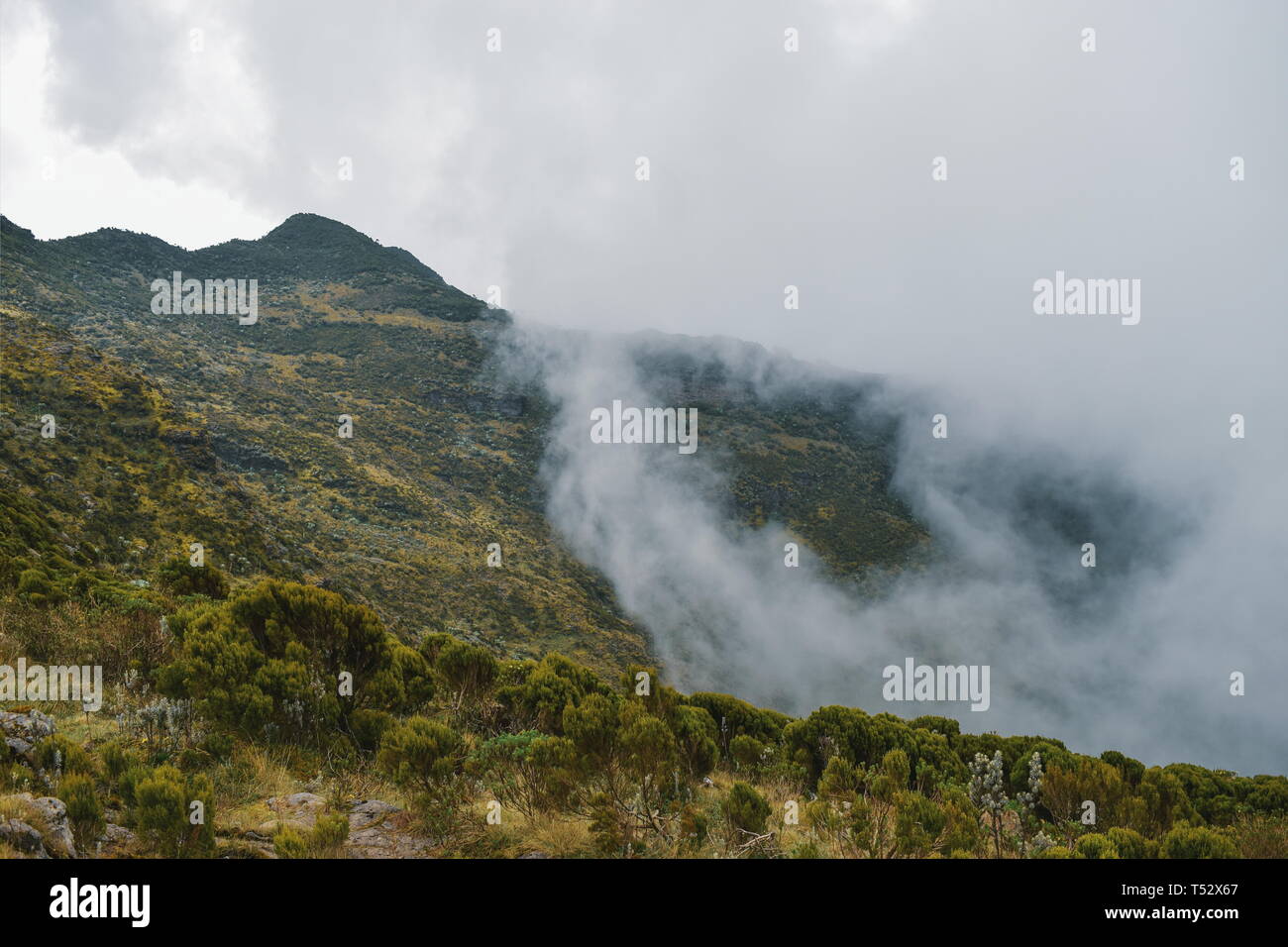 The volcanic mountain landscapes on the flanks of Mount Kenya, Aberdare ...