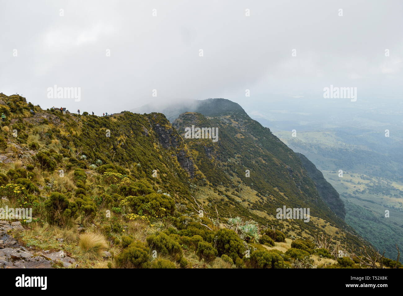 The volcanic mountain landscapes on the flanks of Mount Kenya, Aberdare ...