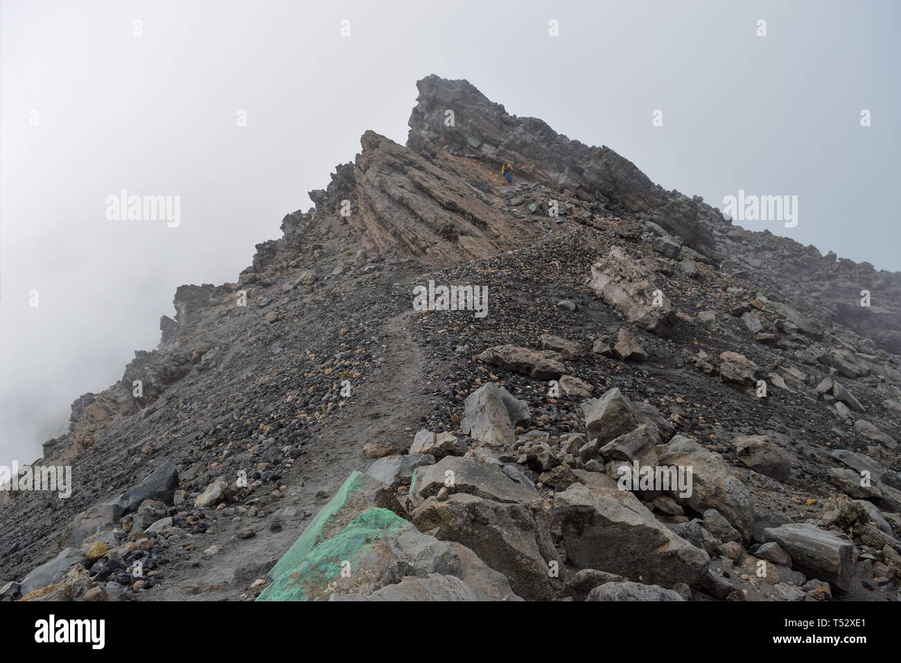 Meru tanzania hi-res stock photography and images - Alamy