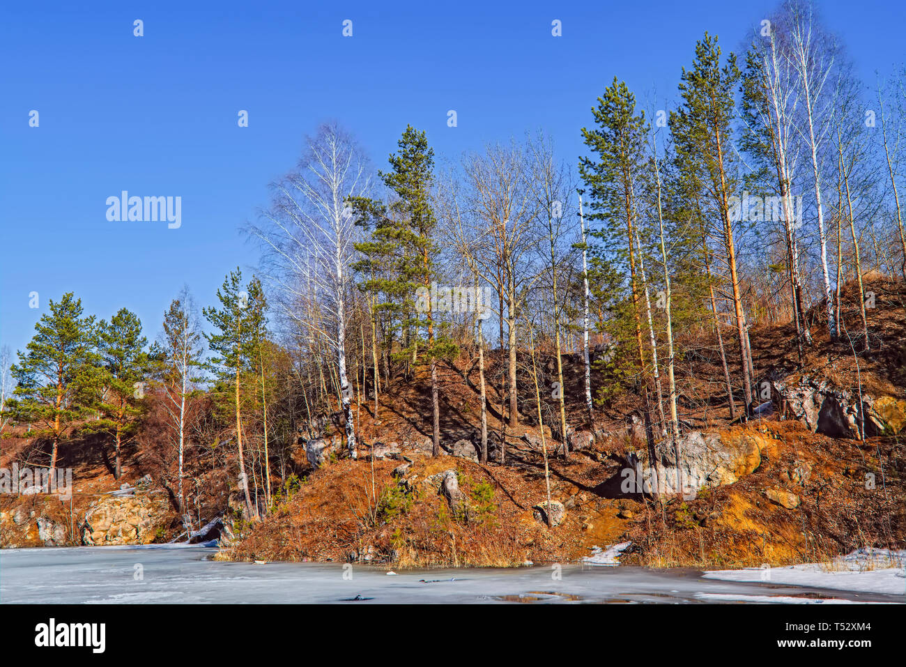 Early spring ice melts on a forest lake with beautiful bright sun rays Stock Photo - Alamy