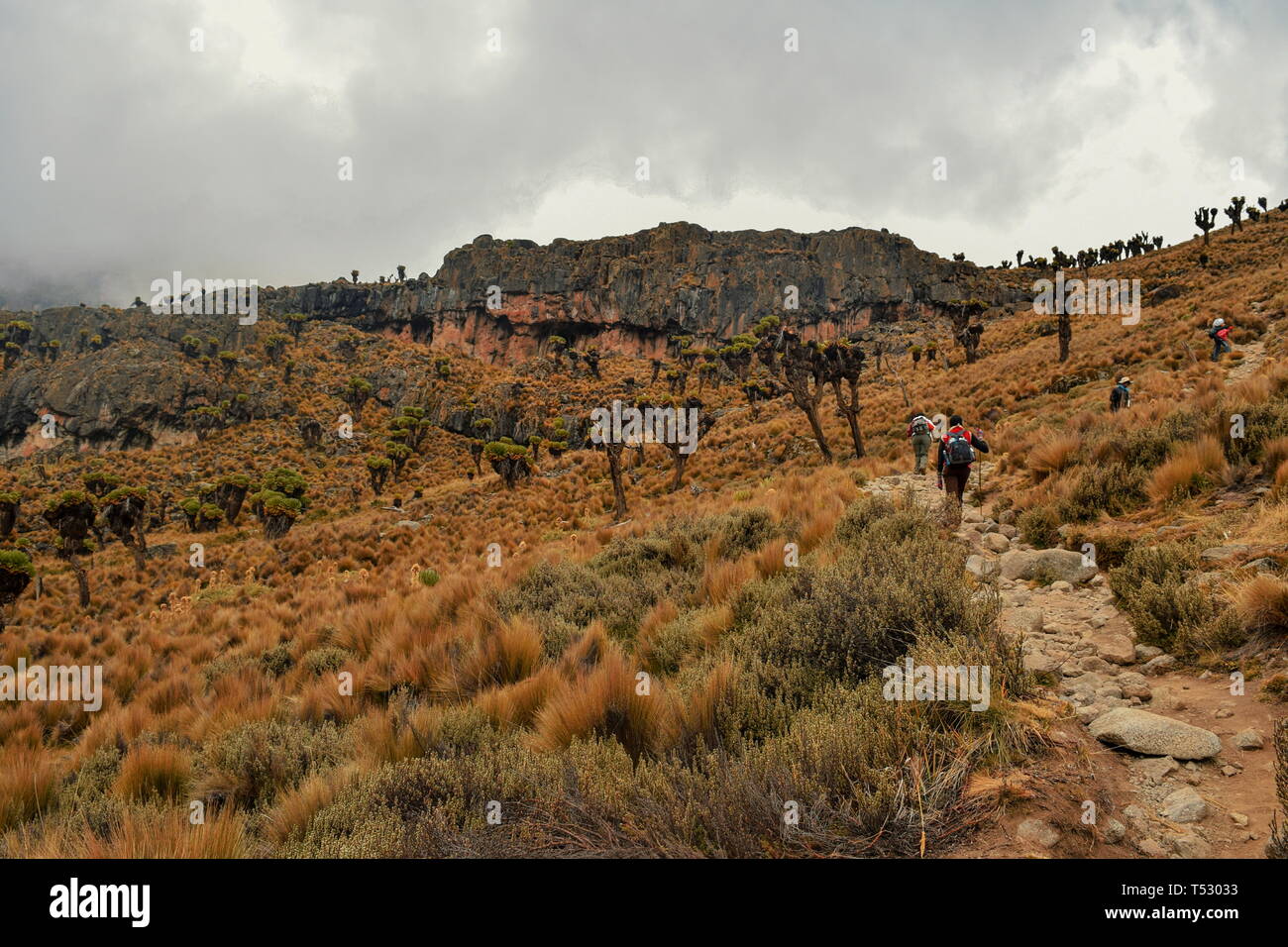 The volcanic landscapes of Mount Kenya Stock Photo - Alamy