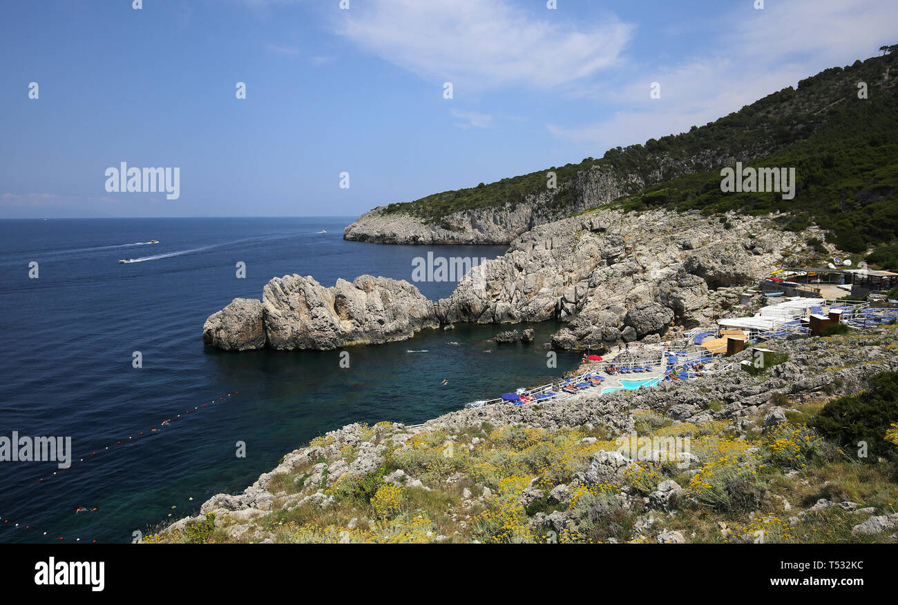 cliffs of Capri island, in summertime, Capri, Italy Stock Photo - Alamy