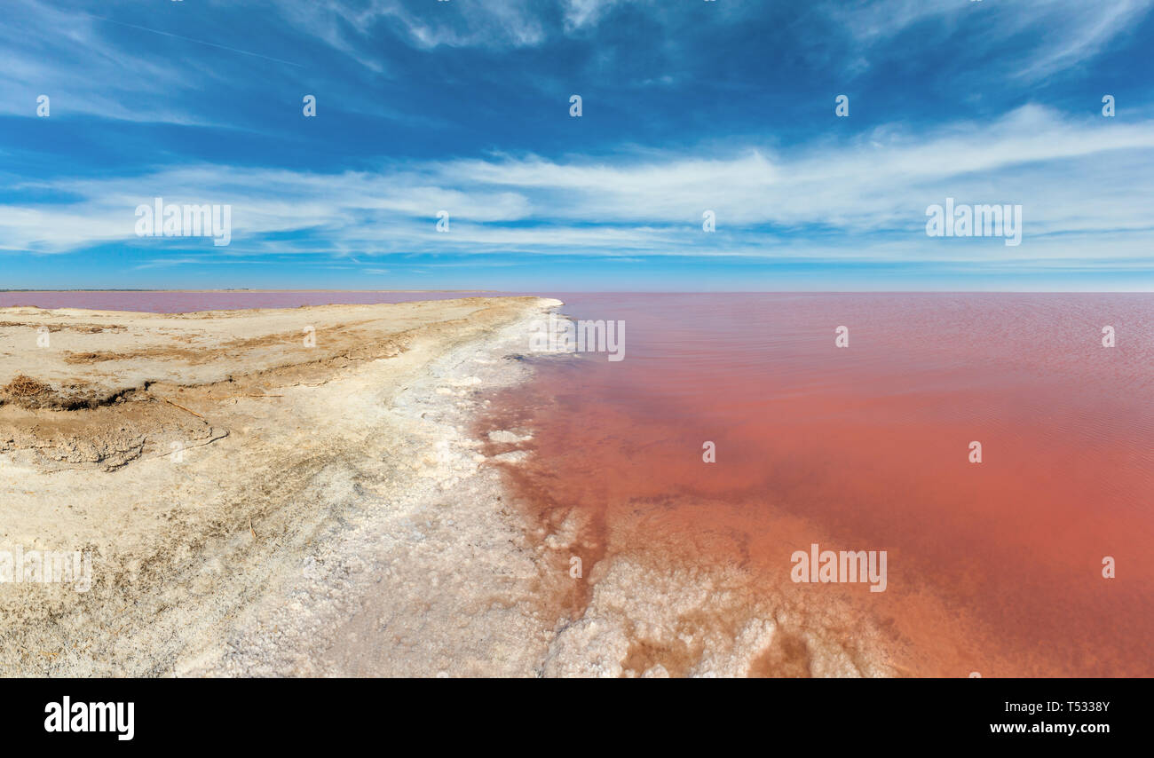 Pink extremely salty Syvash Lake, colored by microalgae with ...