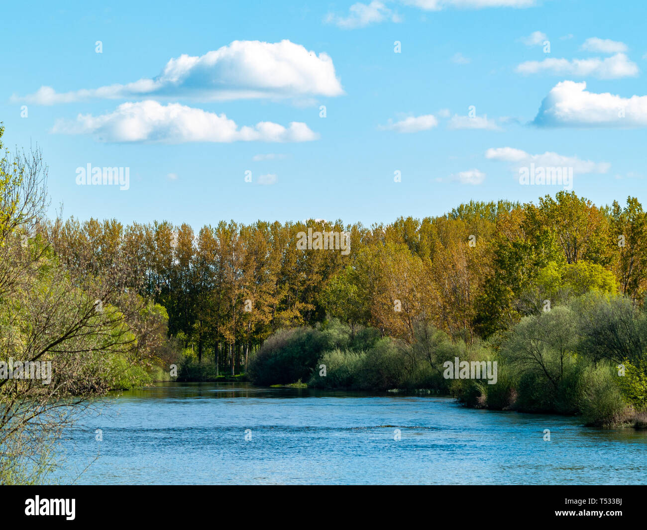Landscape of a river with calm water in spring Stock Photo - Alamy