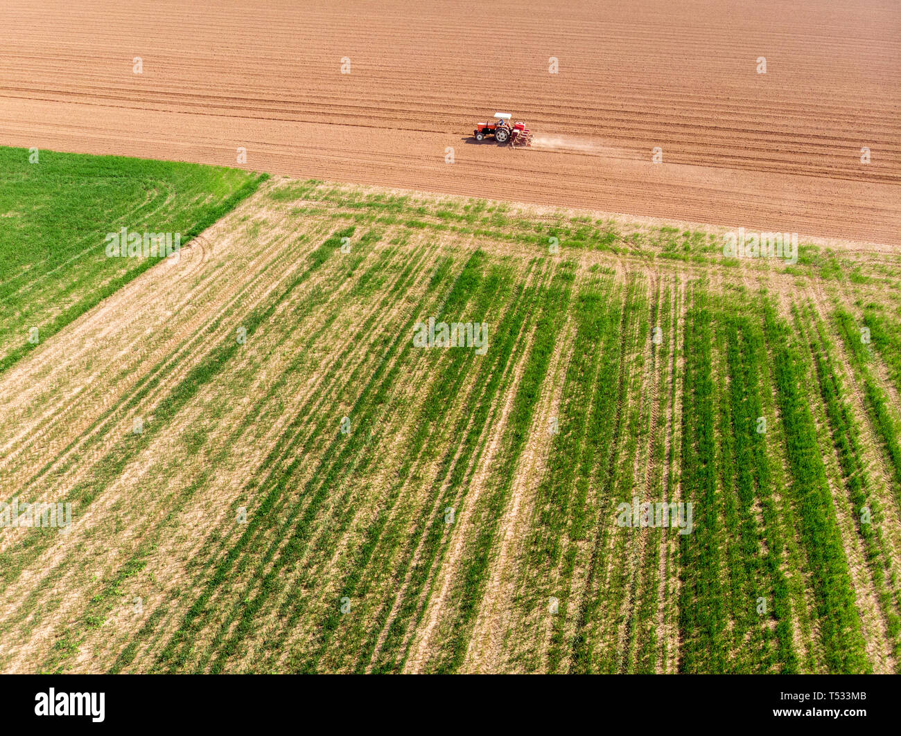 Aerial view of a tractor plowing the fields, plowing, sowing, harvest ...