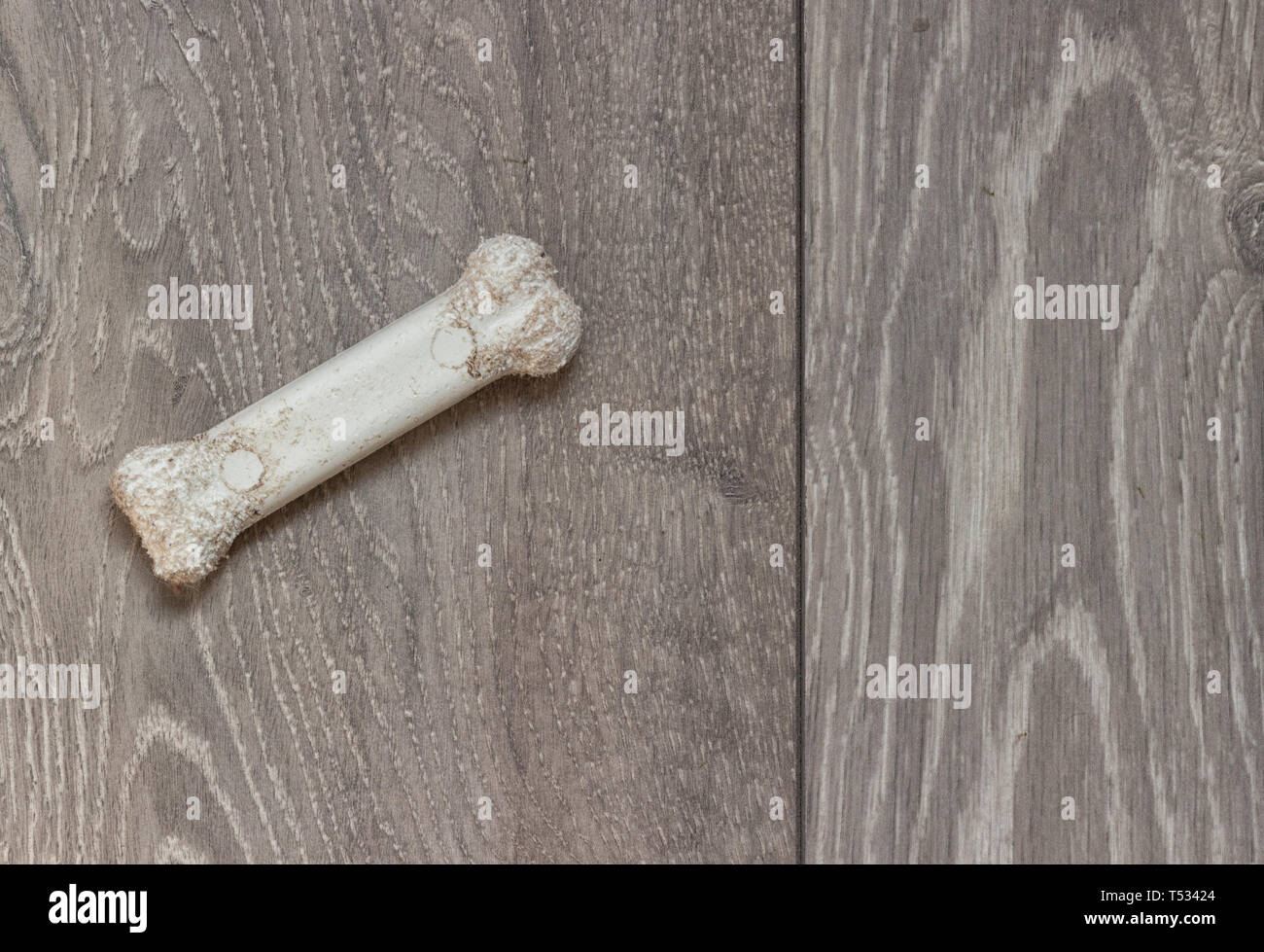 Bone space hi-res stock photography and images - Alamy