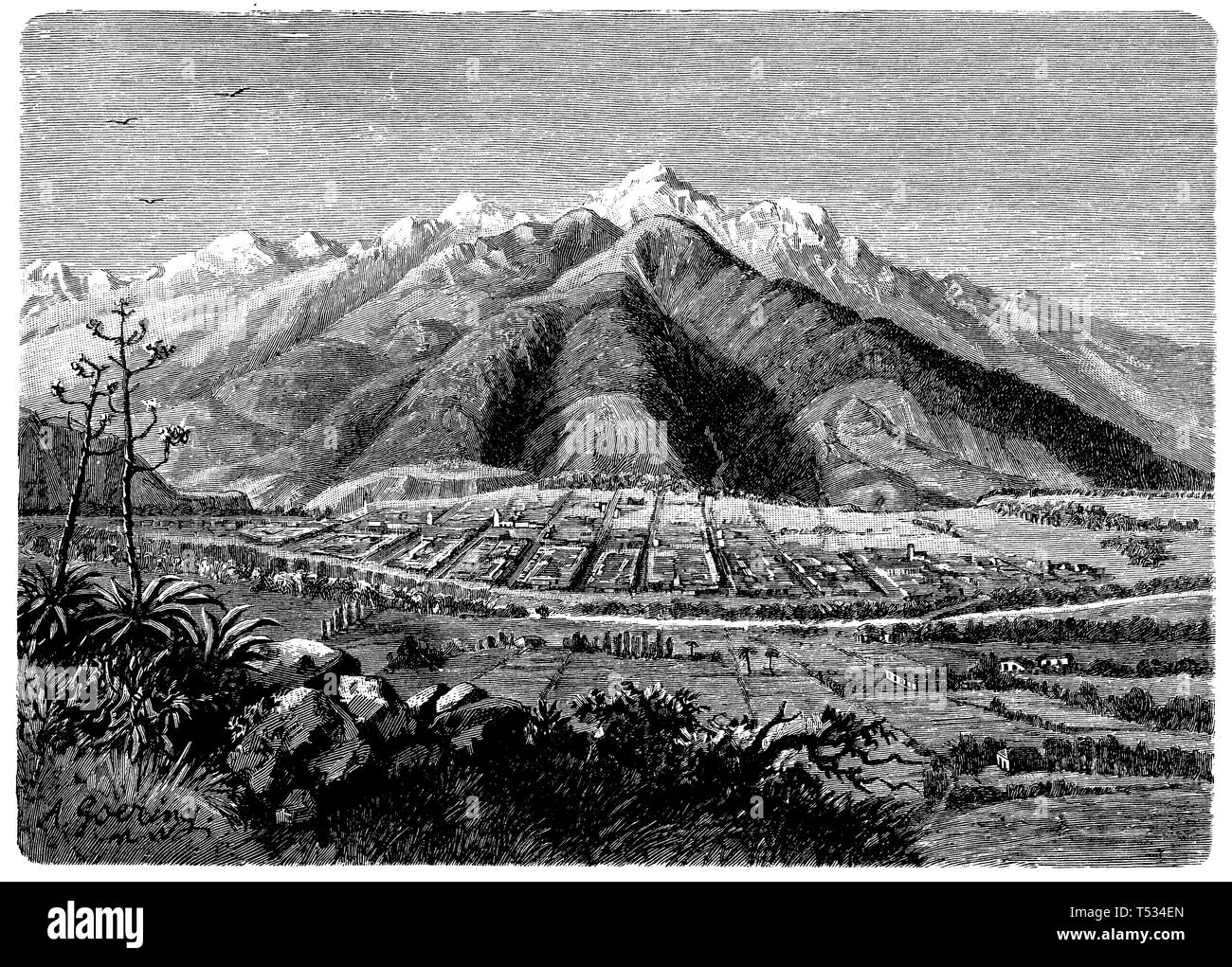 Sierra Nevada of Merida, Venezuela, A. Goering 1897 Stock Photo - Alamy