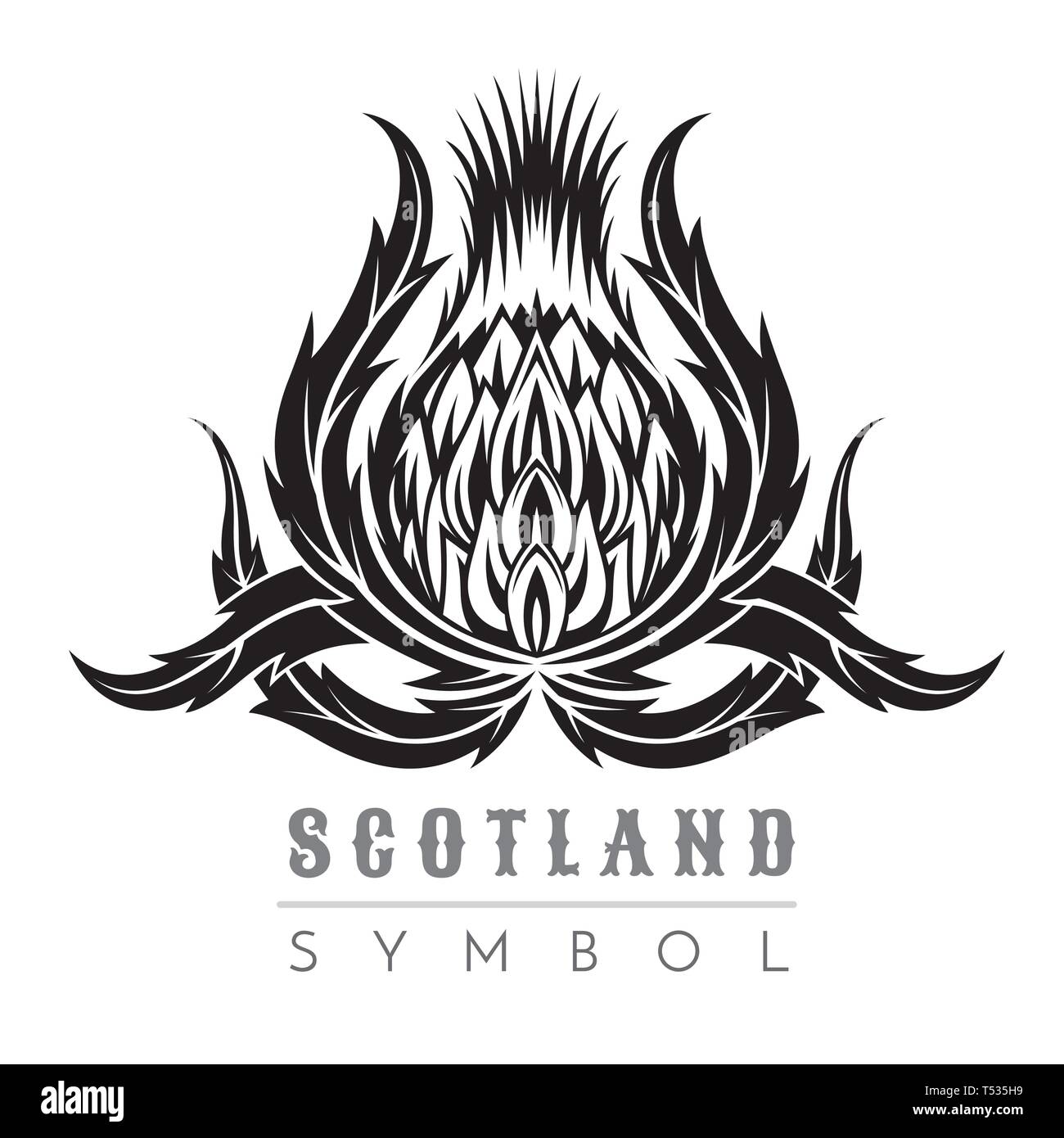 Silhouette of thistle pattern. Design element black on white Stock ...