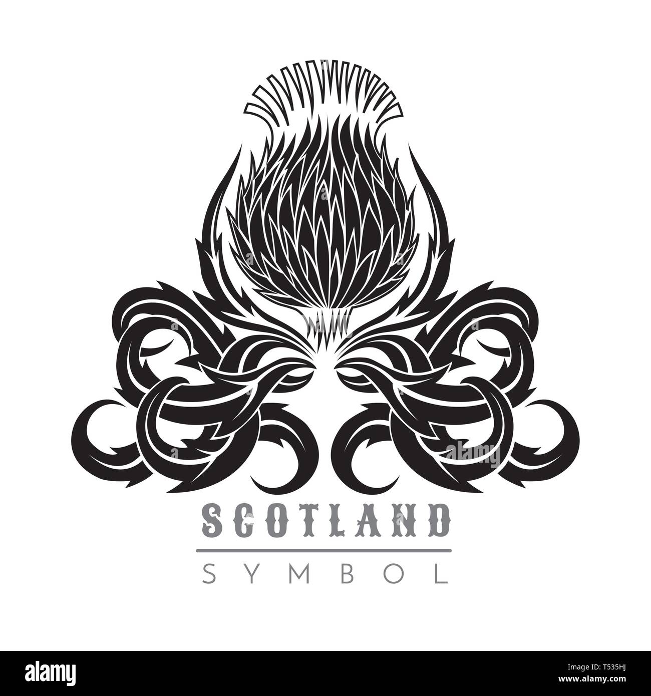 Silhouette of thistle with leaf pattern. Symbol of Scotland design ...