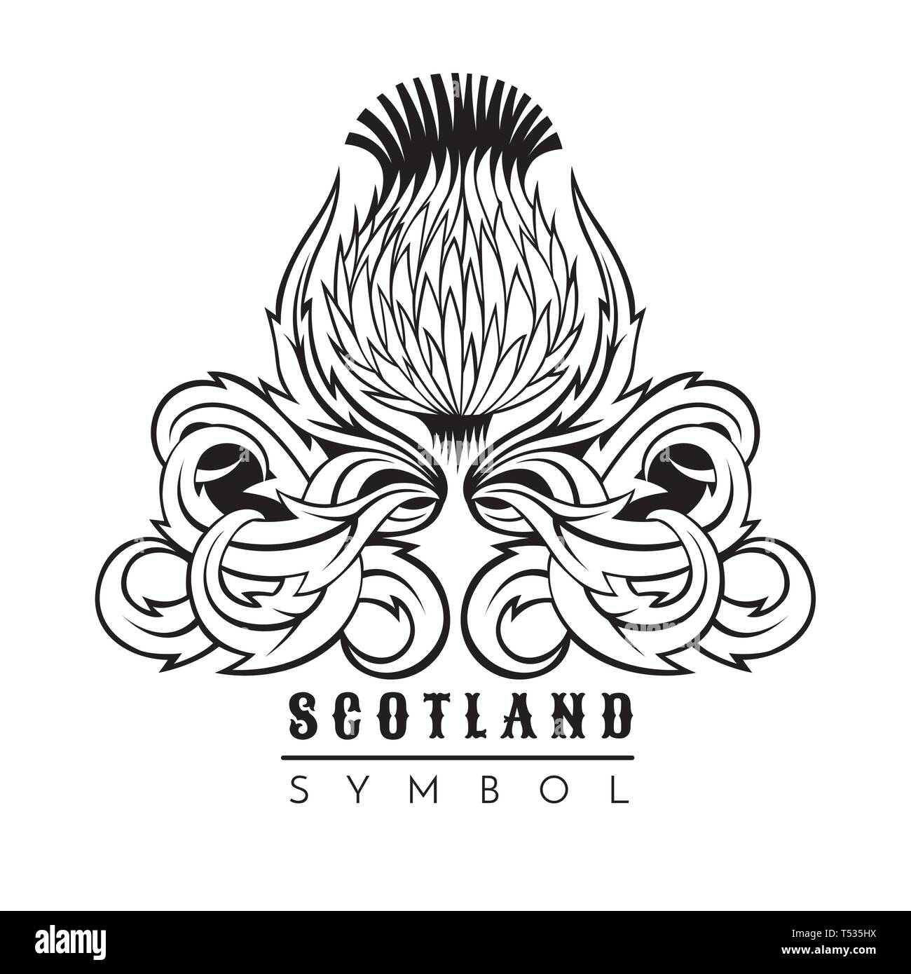 Thistle with leaf pattern. Symbol of Scotland design element black on ...