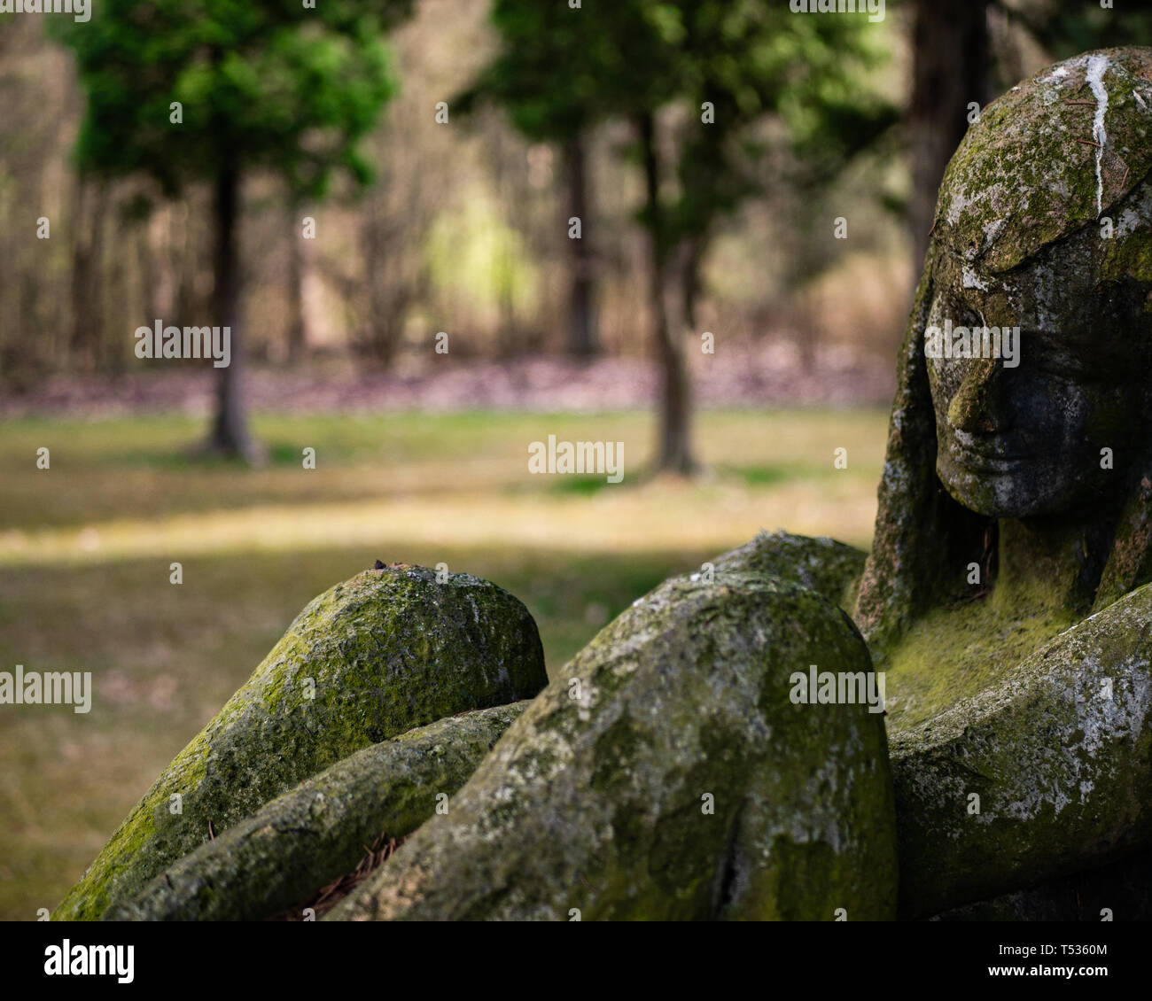 Moss lady hi-res stock photography and images - Alamy