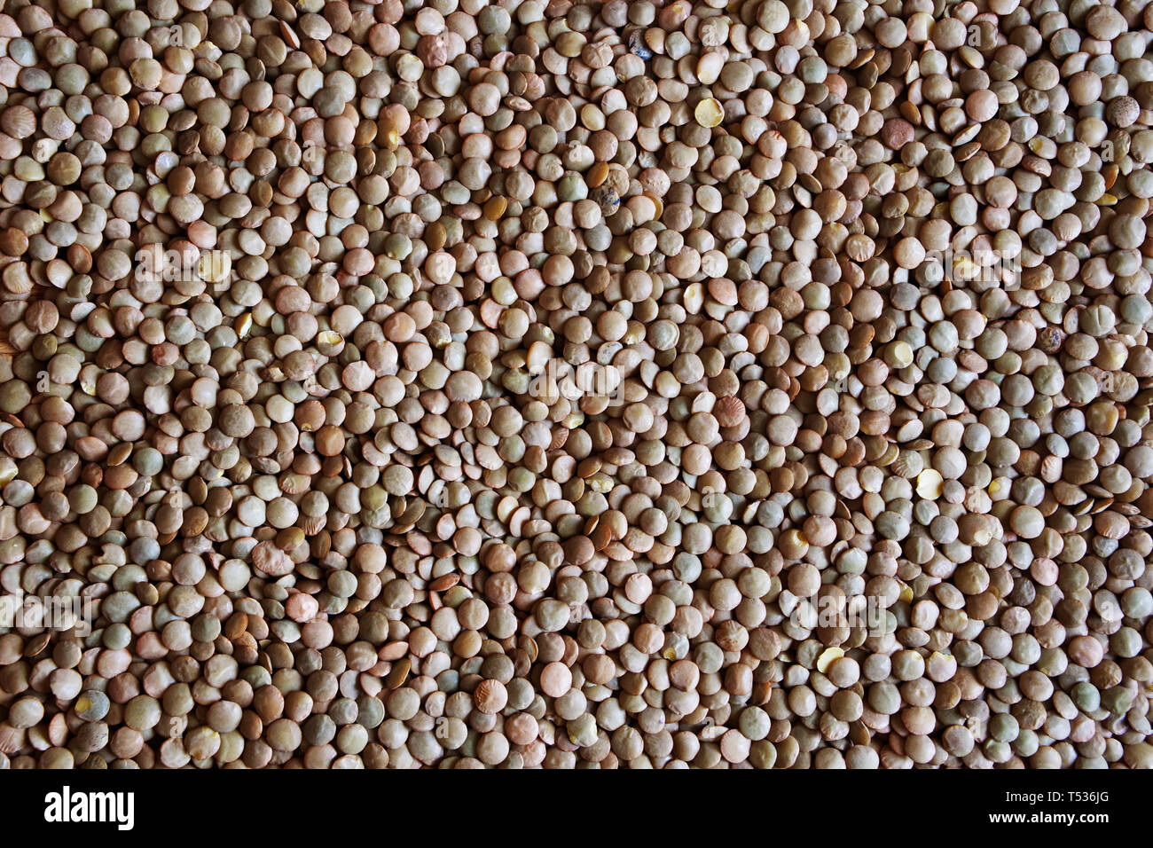Natural background from grains of lentil. Plurality, as a whole ...