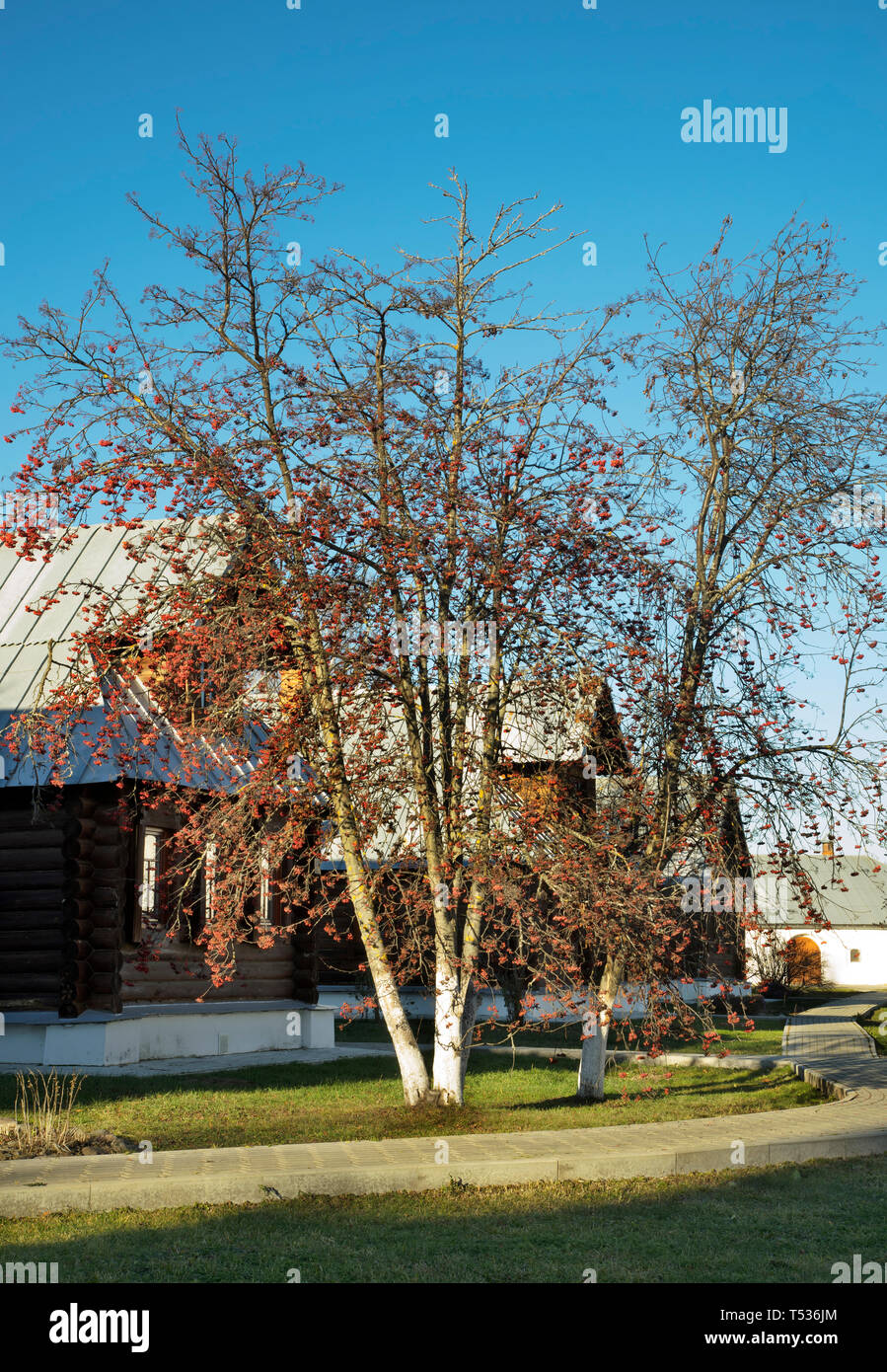 Monastic cell hi-res stock photography and images - Alamy