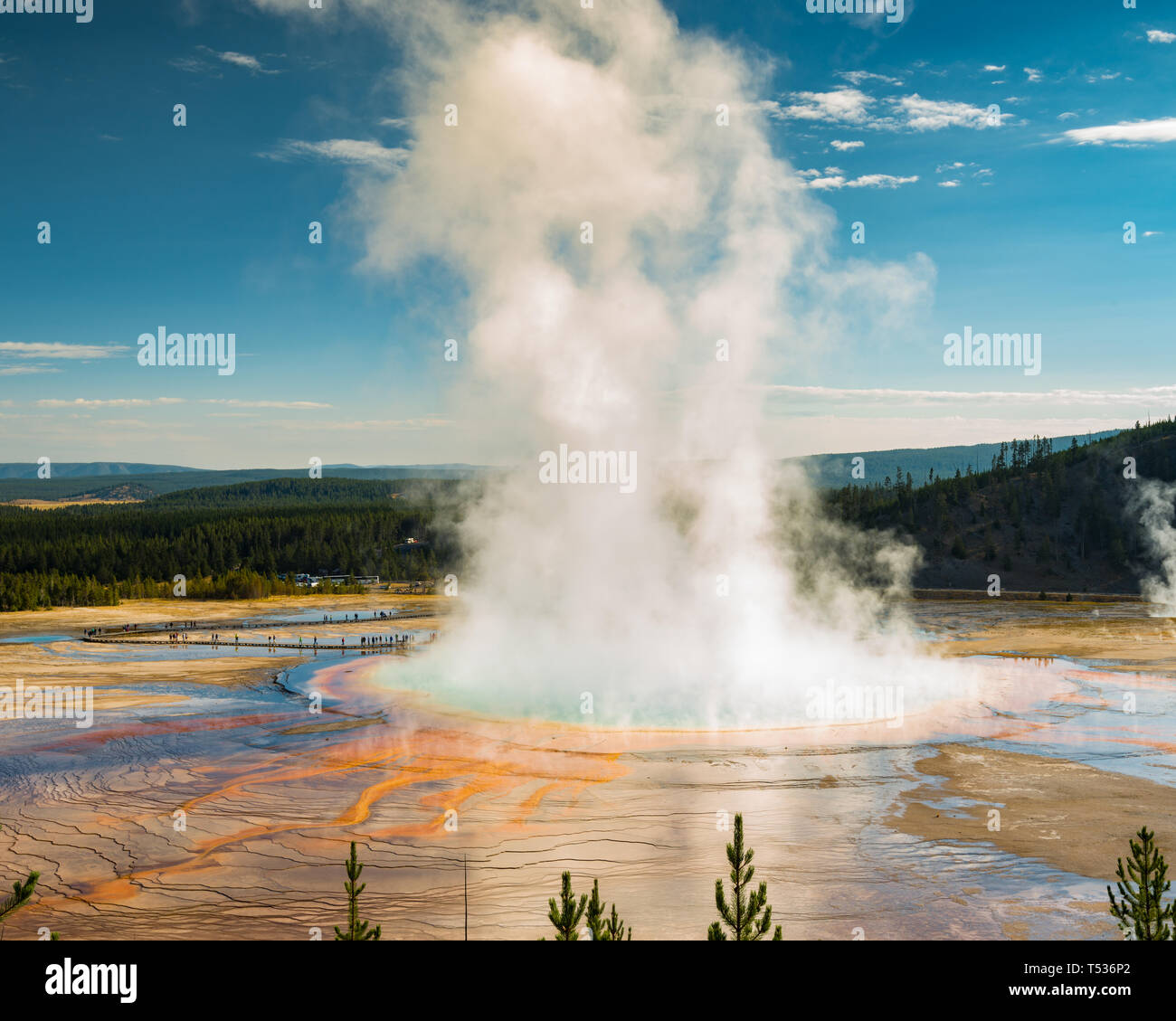 Grand Prismatic Spring Stock Photo - Alamy