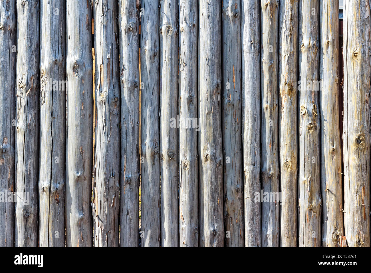 Ancient fence from trunks of trees. Protection against enemies in olden ...