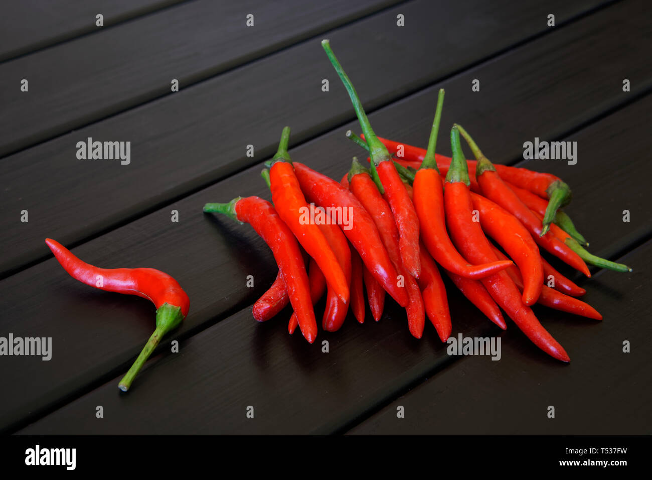 Pods of hot chili pepper on black wooden boards. Seasoning and healthy ...