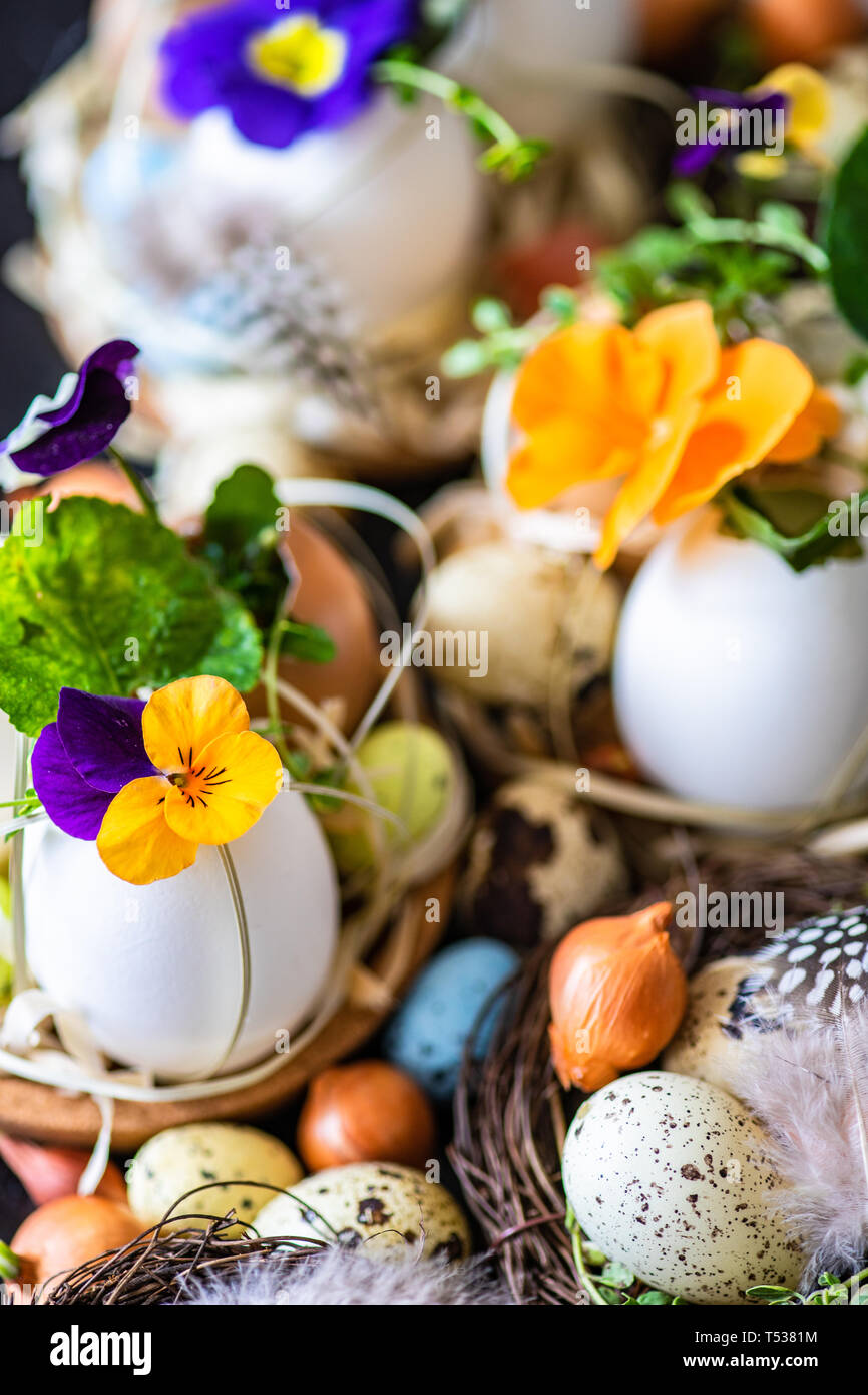 Easter holiday natural composition with first spring flowers like ...