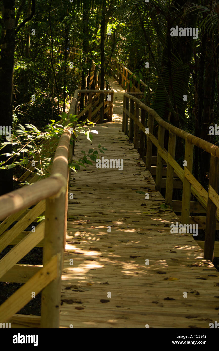 Wey navigation trail hi-res stock photography and images - Alamy