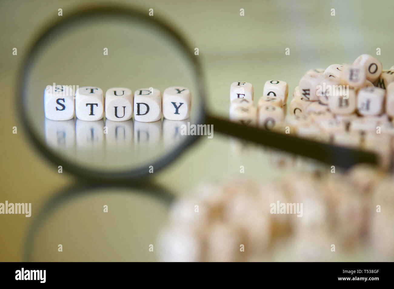 Learn the alphabet. Inscription Study, lined with cubes through a ...