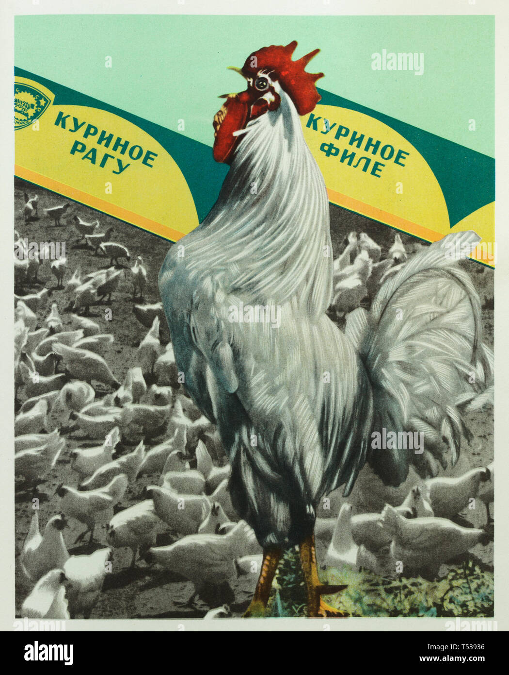 Chicken stew and chicken fillet depicted in the colour illustration in ...