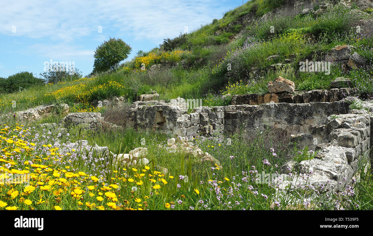 National park Beit Guvrin. Ancient city ruins in Beit Guvrin Stock ...