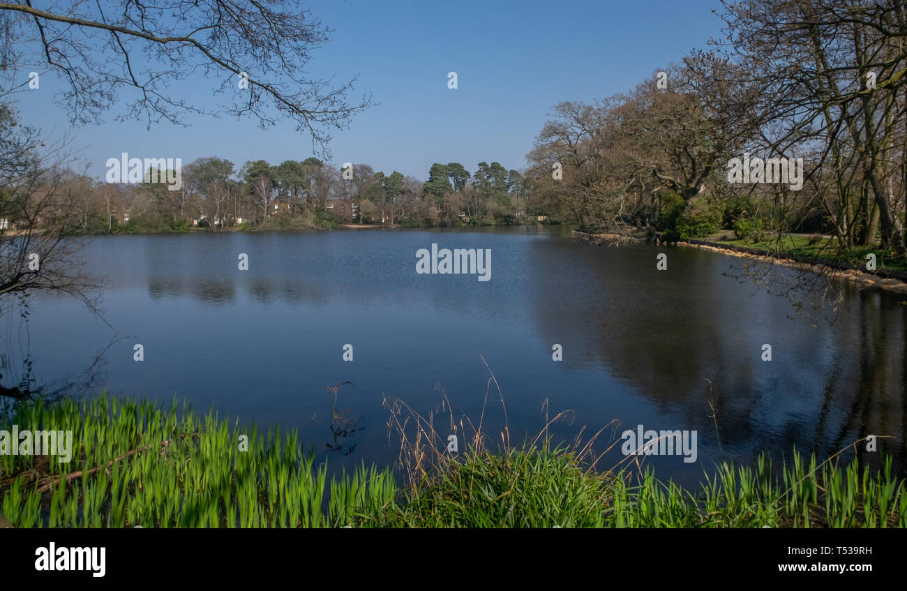 Woodley berkshire hi-res stock photography and images - Alamy