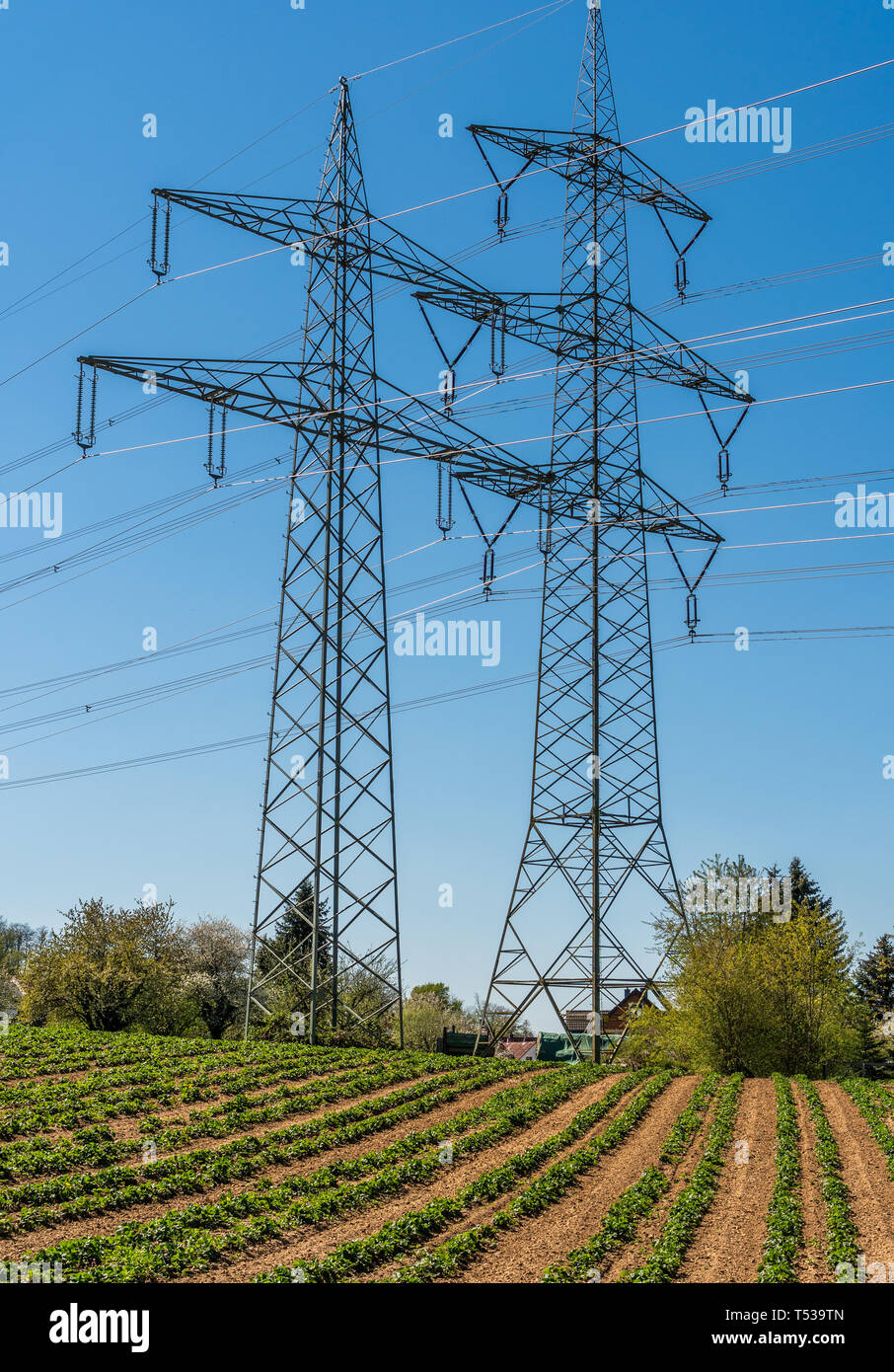 High voltage lines. Powering the city Stock Photo - Alamy