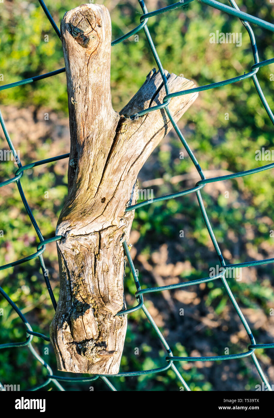 Garden fence. A plot outside the city Stock Photo - Alamy