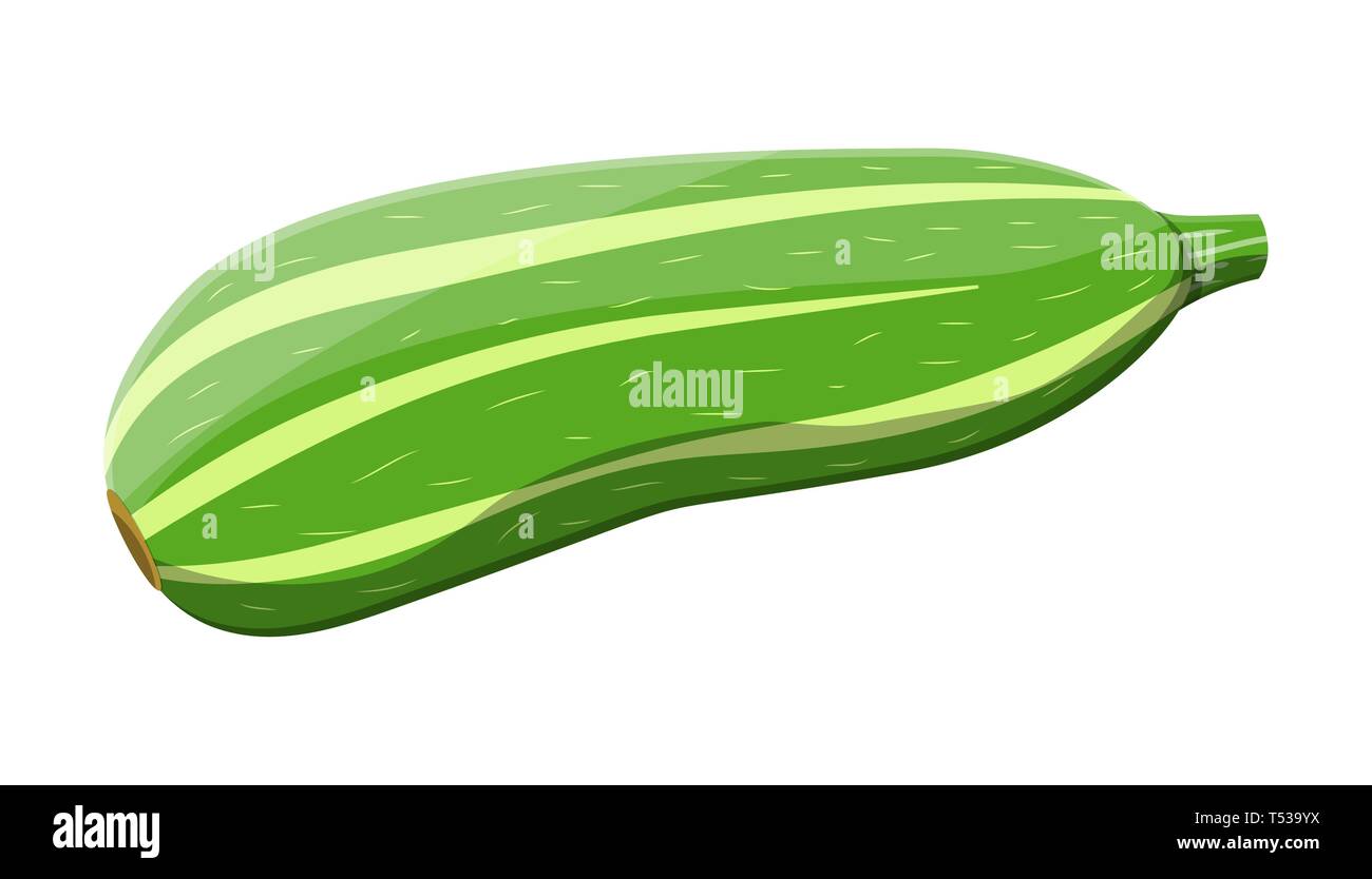 Squashvegetable vector vectors hi-res stock photography and images - Alamy