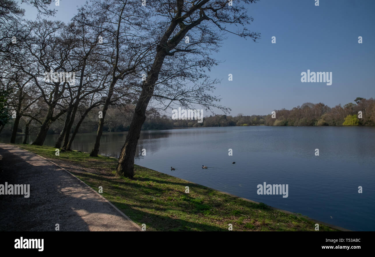 Woodley berkshire hi-res stock photography and images - Alamy