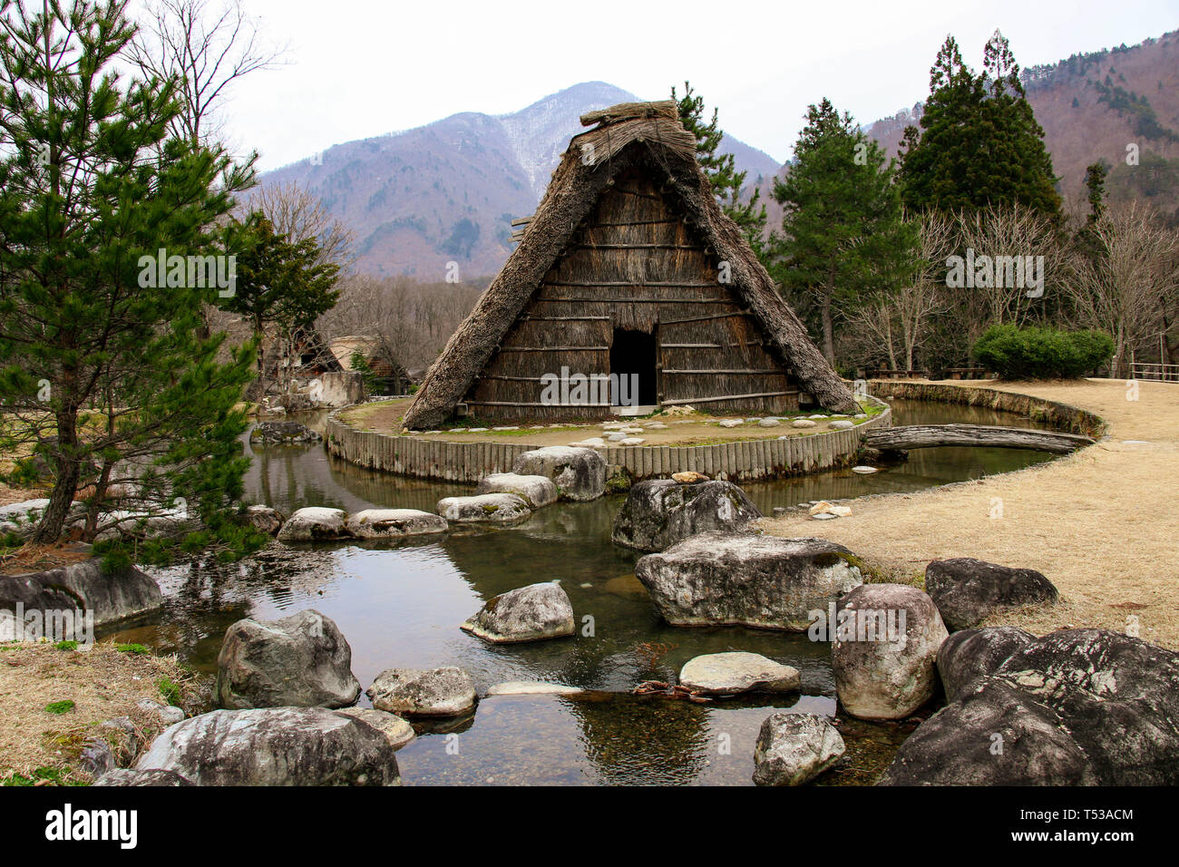 The famous traditional gassho-zukuri farmhouses in Shirakawa-go village ...