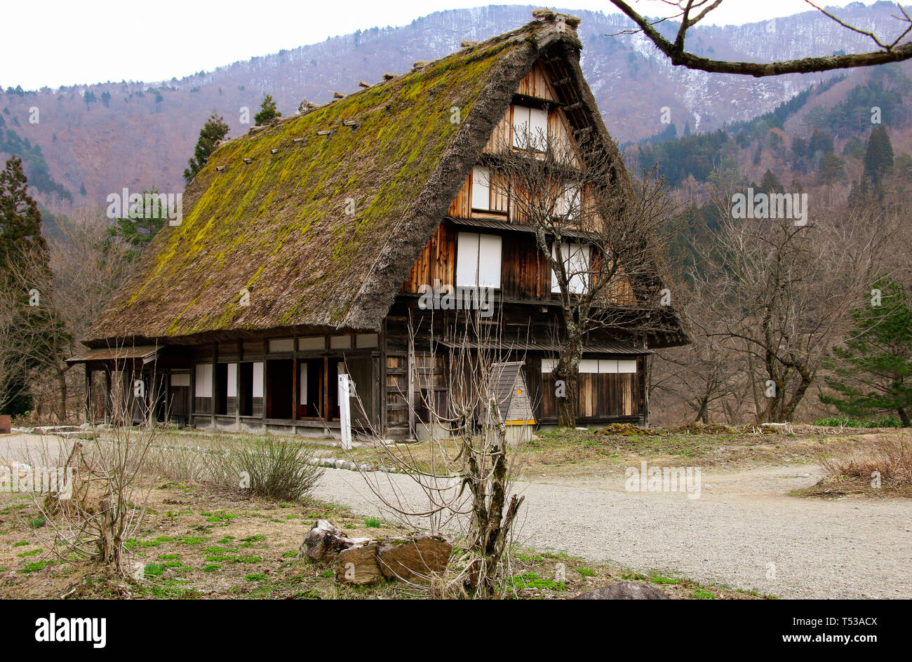 The famous traditional gassho-zukuri farmhouses in Shirakawa-go village ...