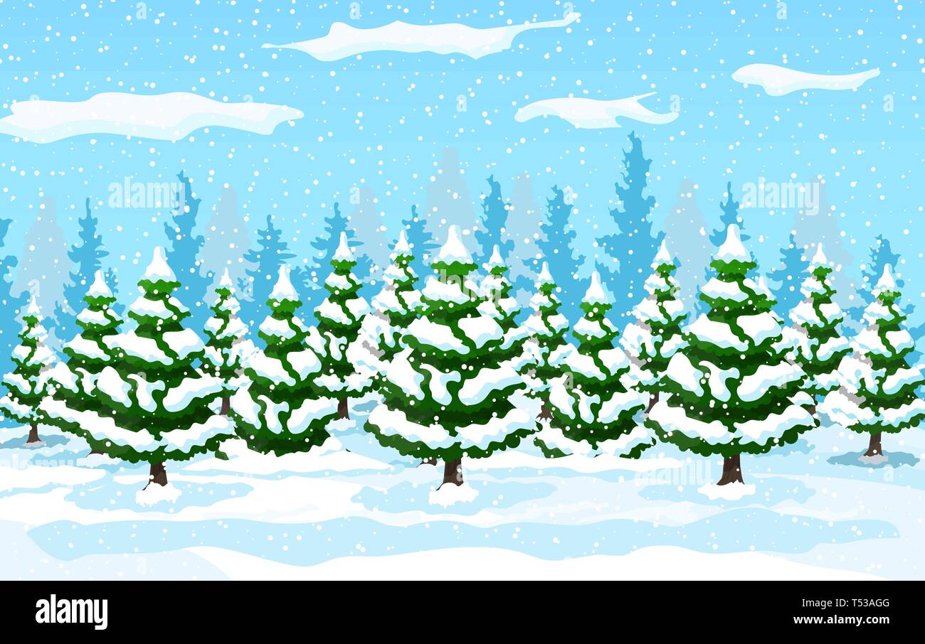 Winter landscape with white pine trees on snow hill. Christmas ...