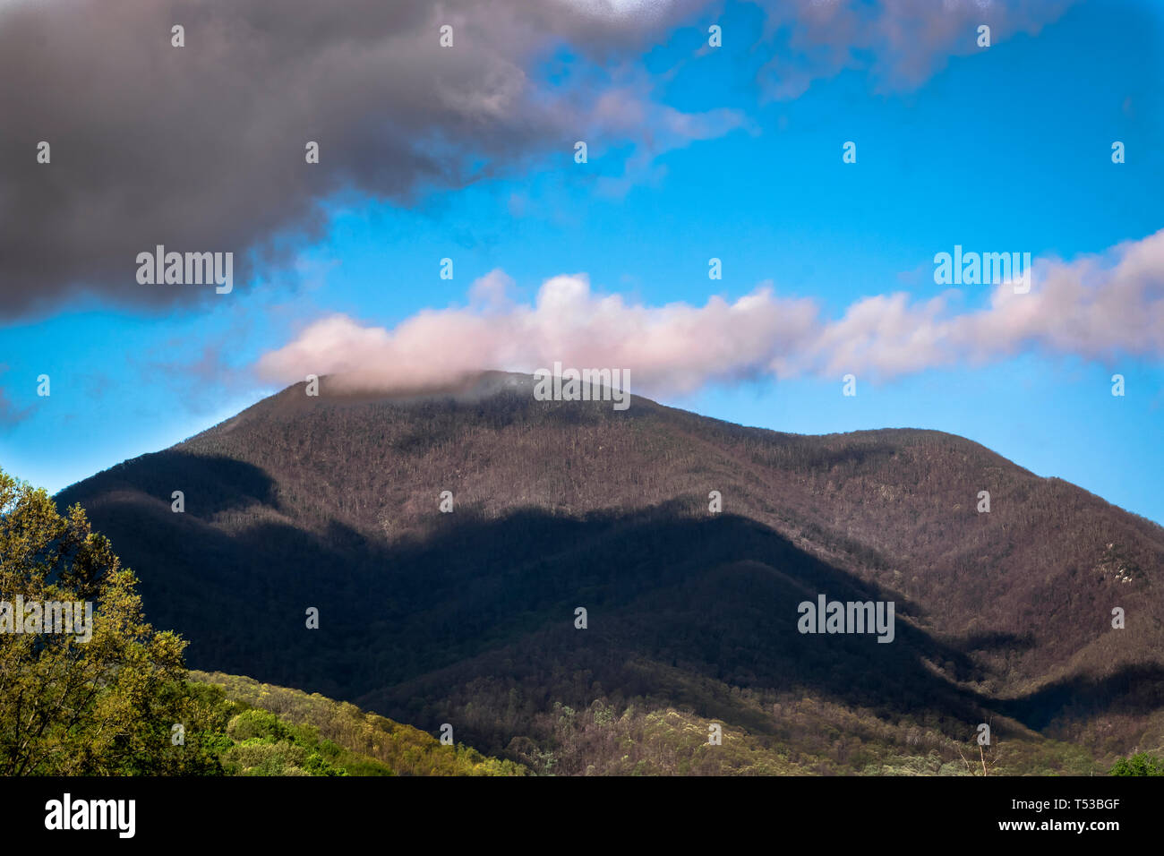 Three Ridges Wilderness Area in Nelson Virginia on Beautiful Spring Day ...