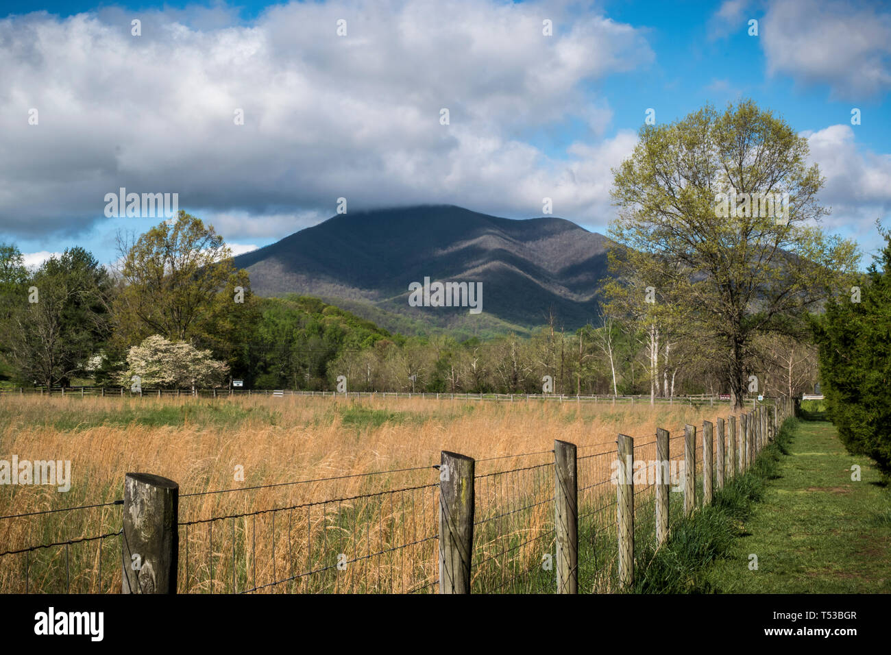 Three Ridges Wilderness Area in Nelson Virginia on Beautiful Spring Day ...
