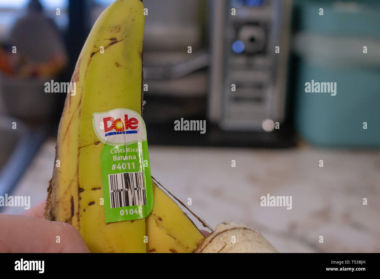 London Canada, April 20 2019: Editorial illustrative photo of a banana ...