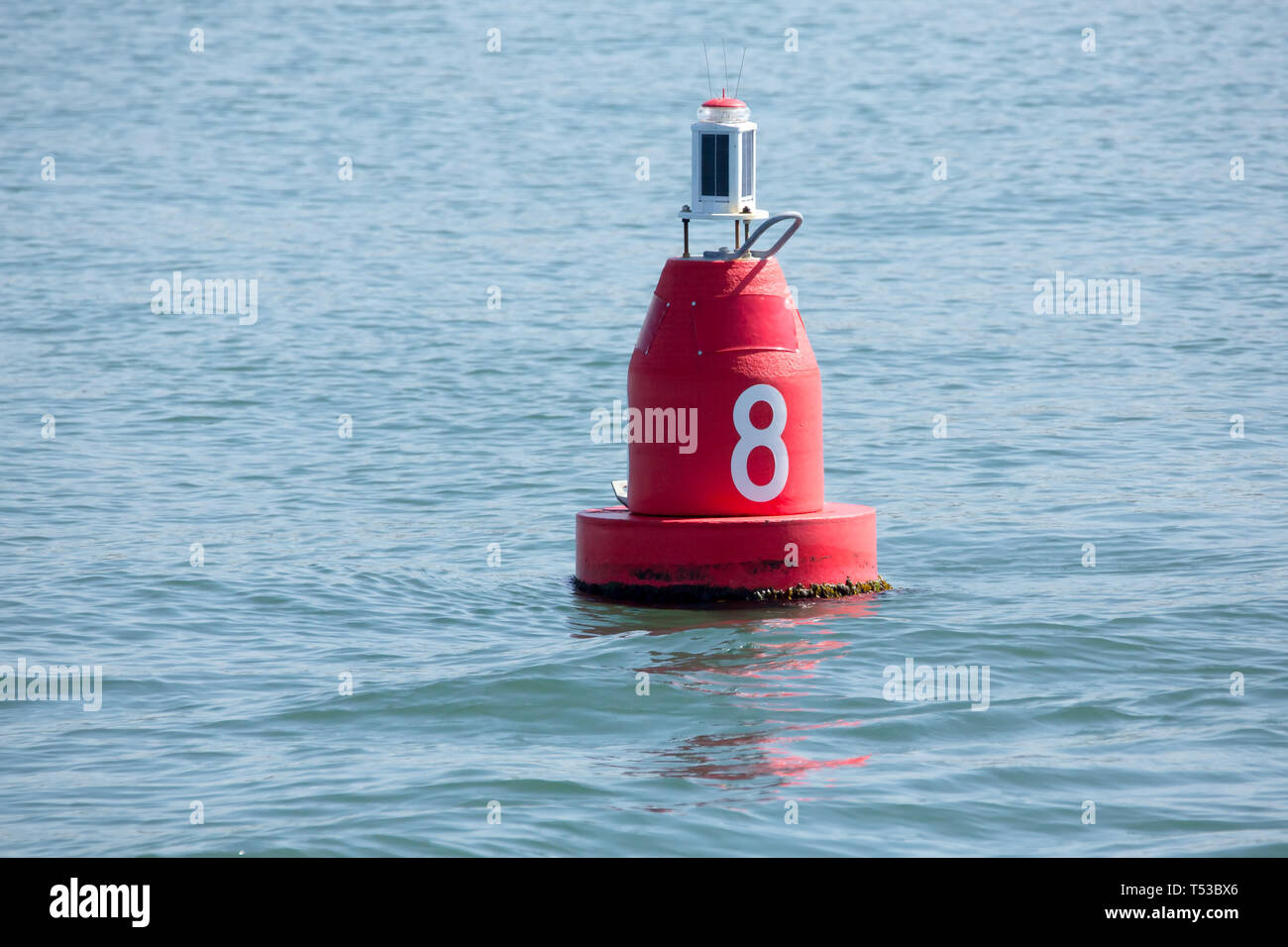 Crusty red buoy with number 8 and solar powered light floats in a bay ...