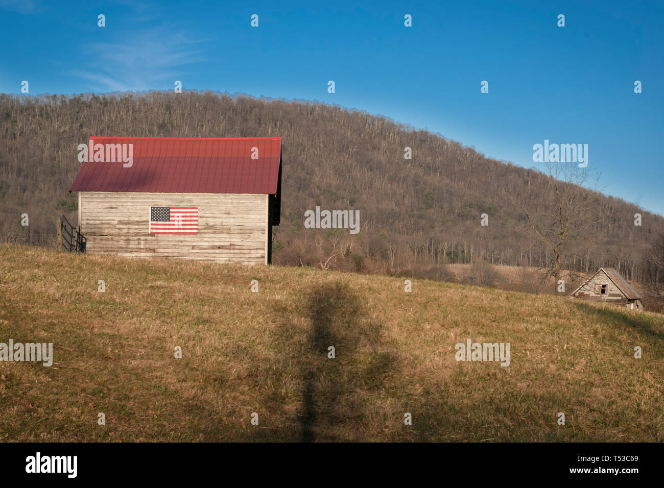 Rolling Virginia Countryside with American Flag Rustic Barn on Sunny ...