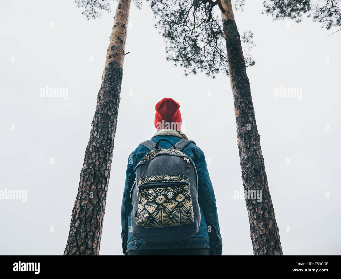 Tall perspective girl hi-res stock photography and images - Alamy