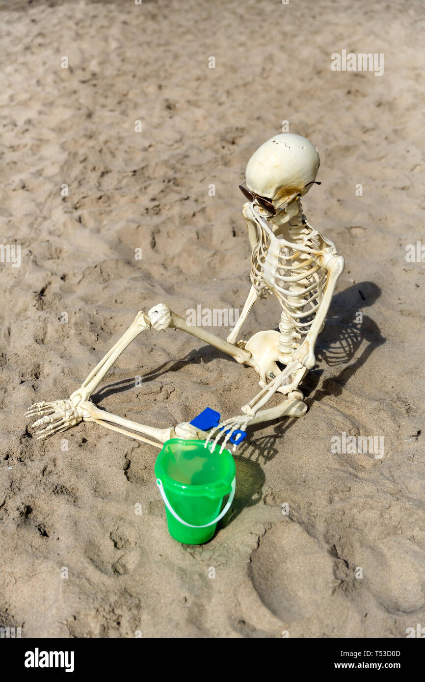 Skeleton sits on the beach playing in the sand with a bucket and shovel ...