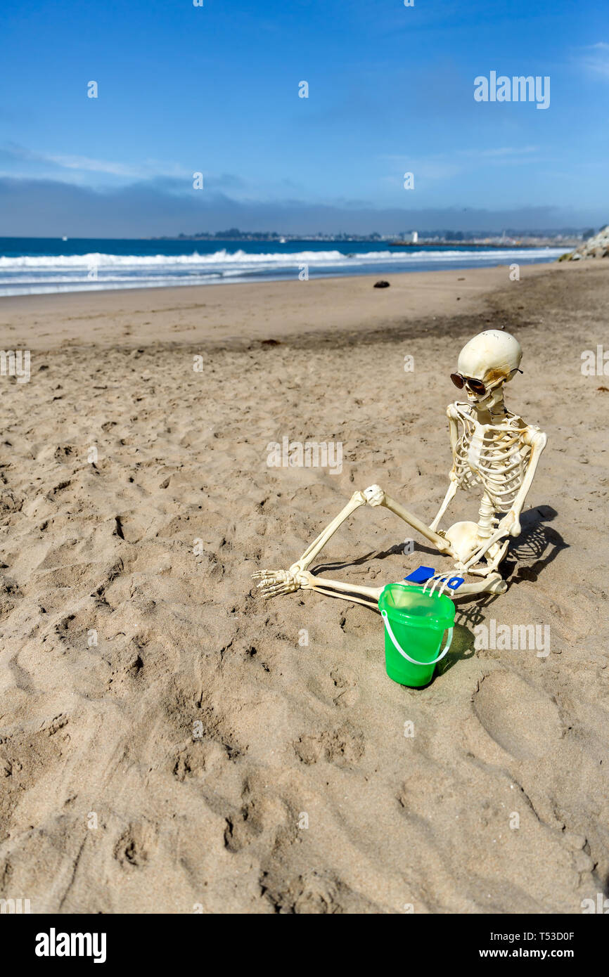 Skeleton sits on the beach playing in the sand with a bucket and shovel ...