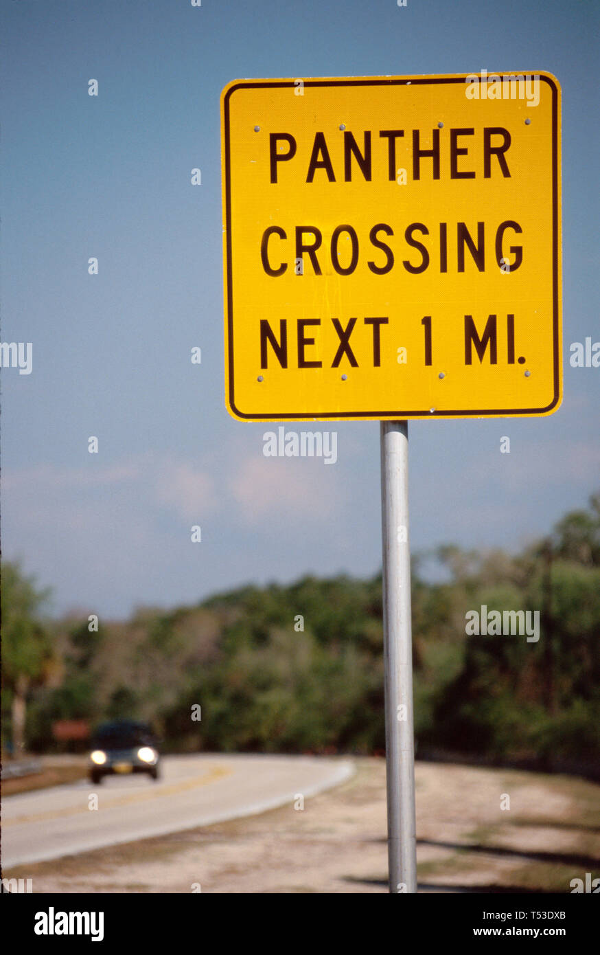 Tamiami Trail Us Route 41 High Resolution Stock Photography and Images ...